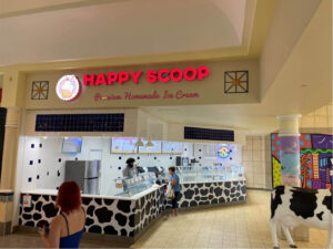 Edison Mall - Washington Prime Group